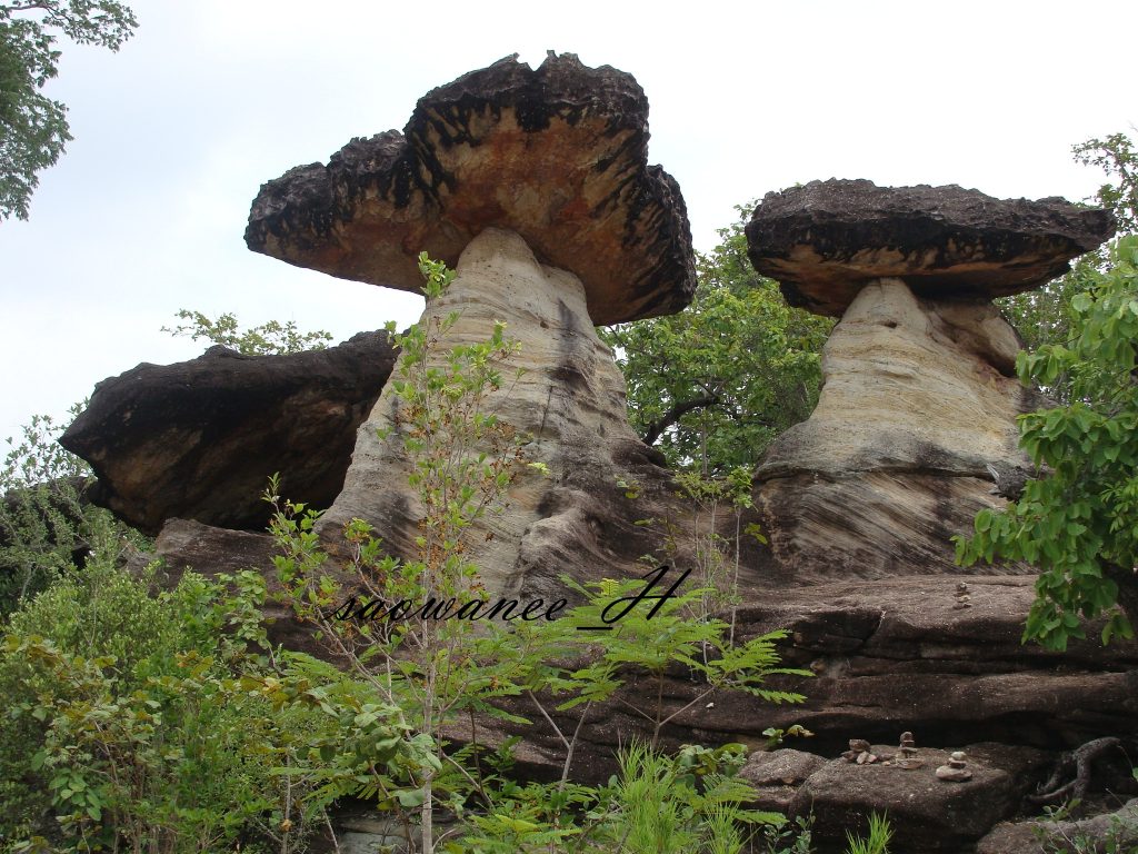 การผุพังอยู่กับที่ทางกายภาพ – EDUVATOR LPRU